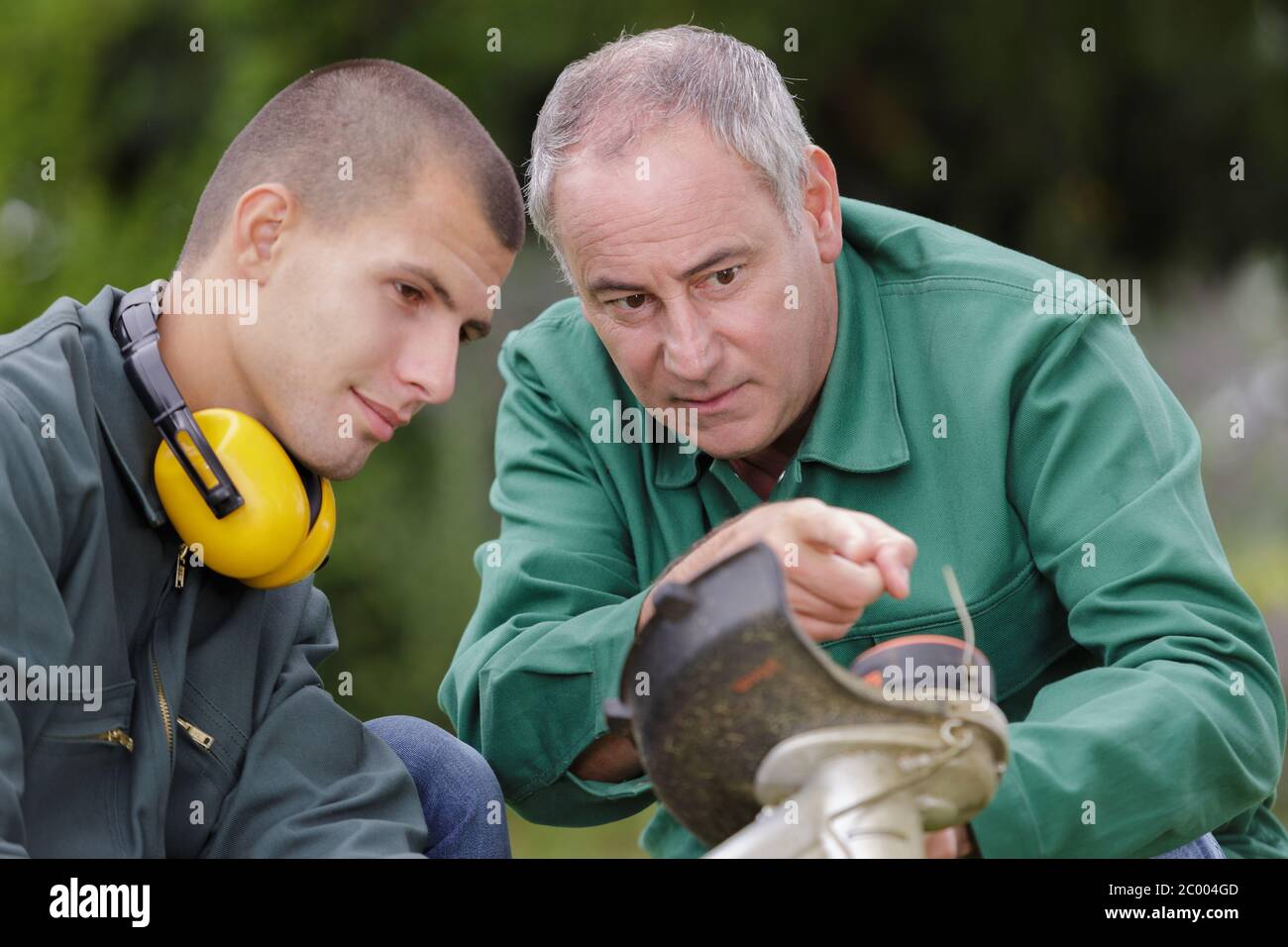 portrait of male landscape gardener Stock Photo - Alamy