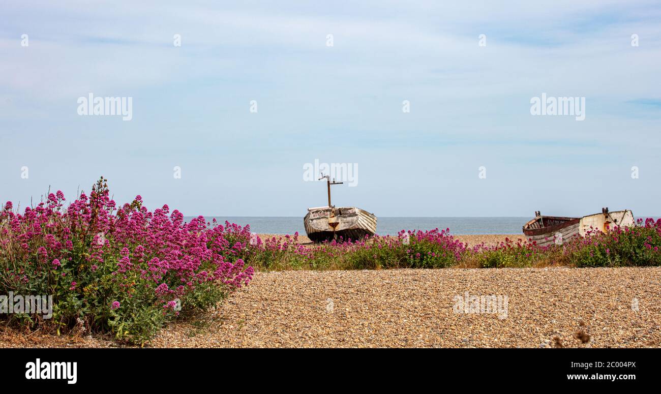 Summer by the sea in Suffolk Stock Photo - Alamy