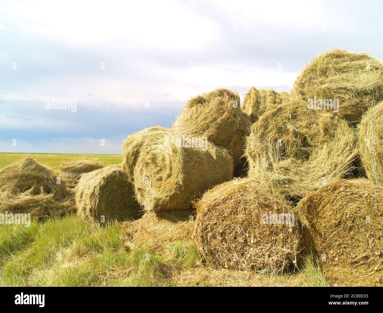 Hay heap hi-res stock photography and images - Alamy
