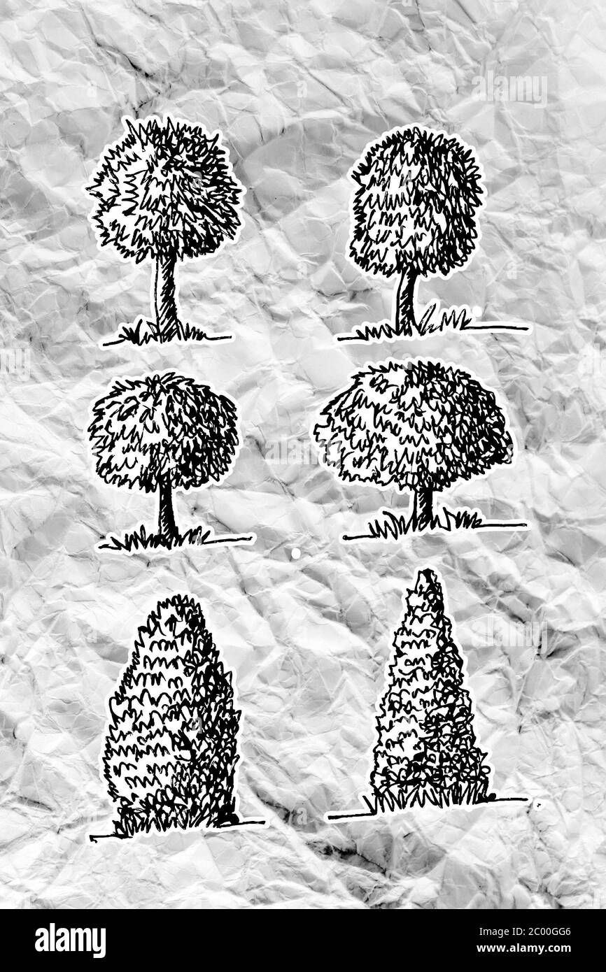 Set of trees with leaves on crumpled paper Stock Photo - Alamy