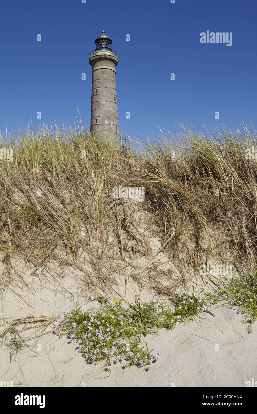 Grenen (Skagen, Denmark) - grey lighthouse Stock Photo - Alamy