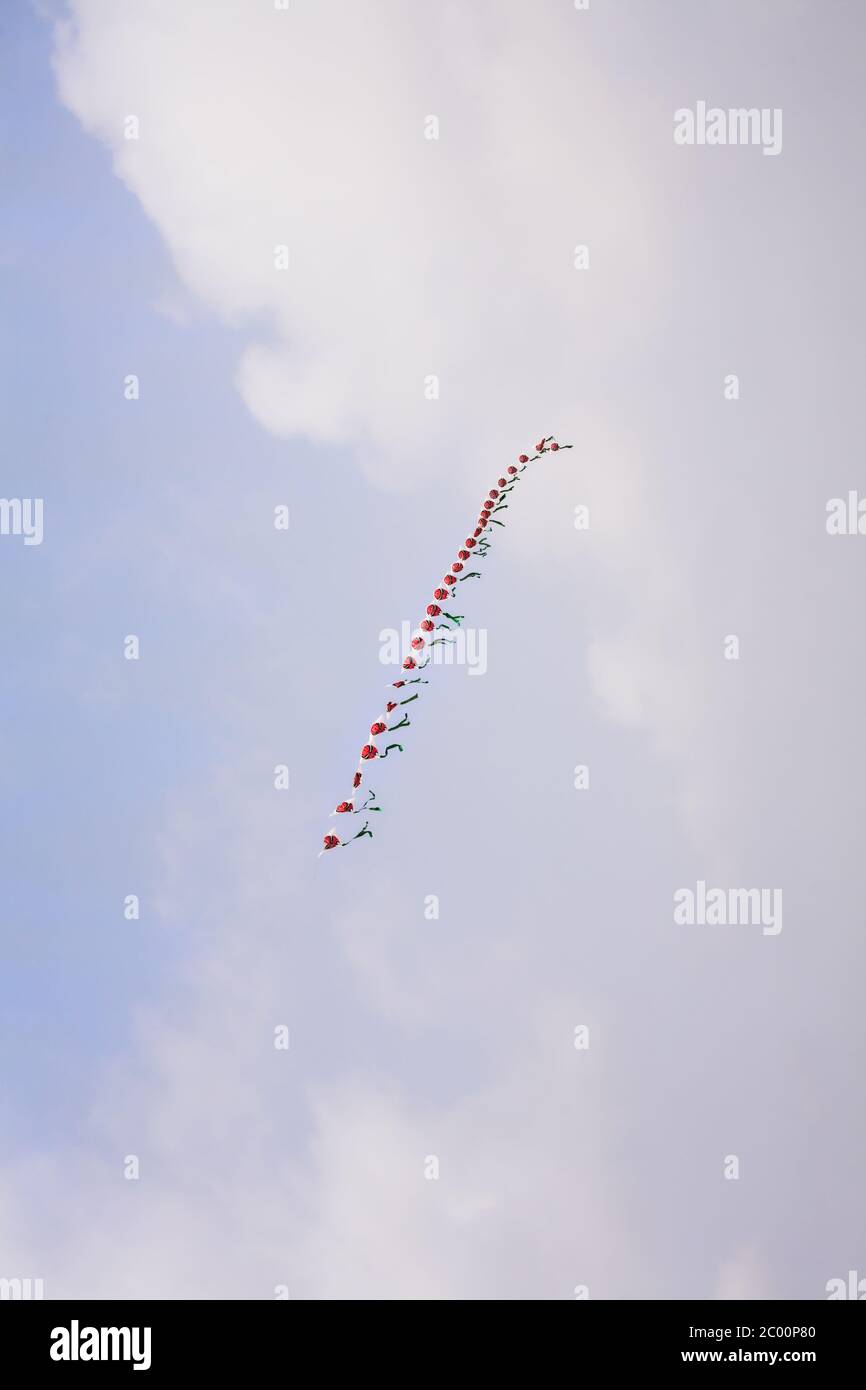 Chain of kites on a holiday in a school vacation Stock Photo - Alamy