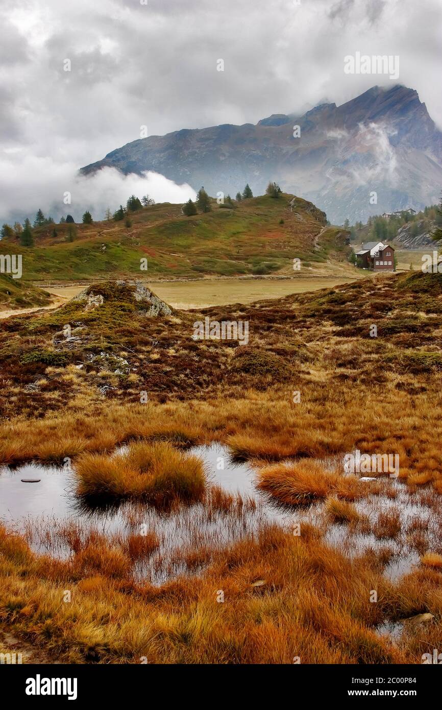 Spring will not come soon Stock Photo - Alamy