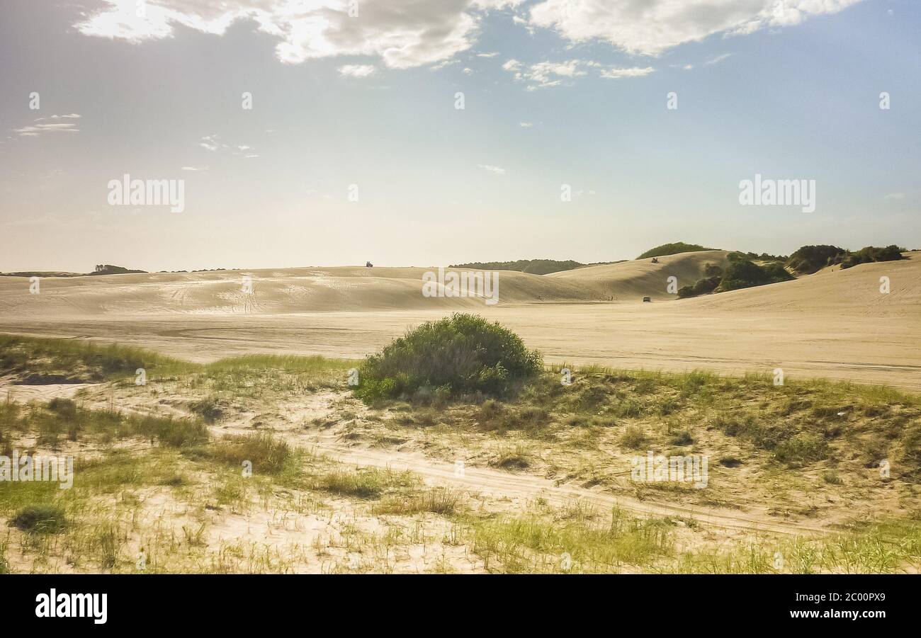 Dunes of Cariló Beach in Argentina Stock Photo - Alamy
