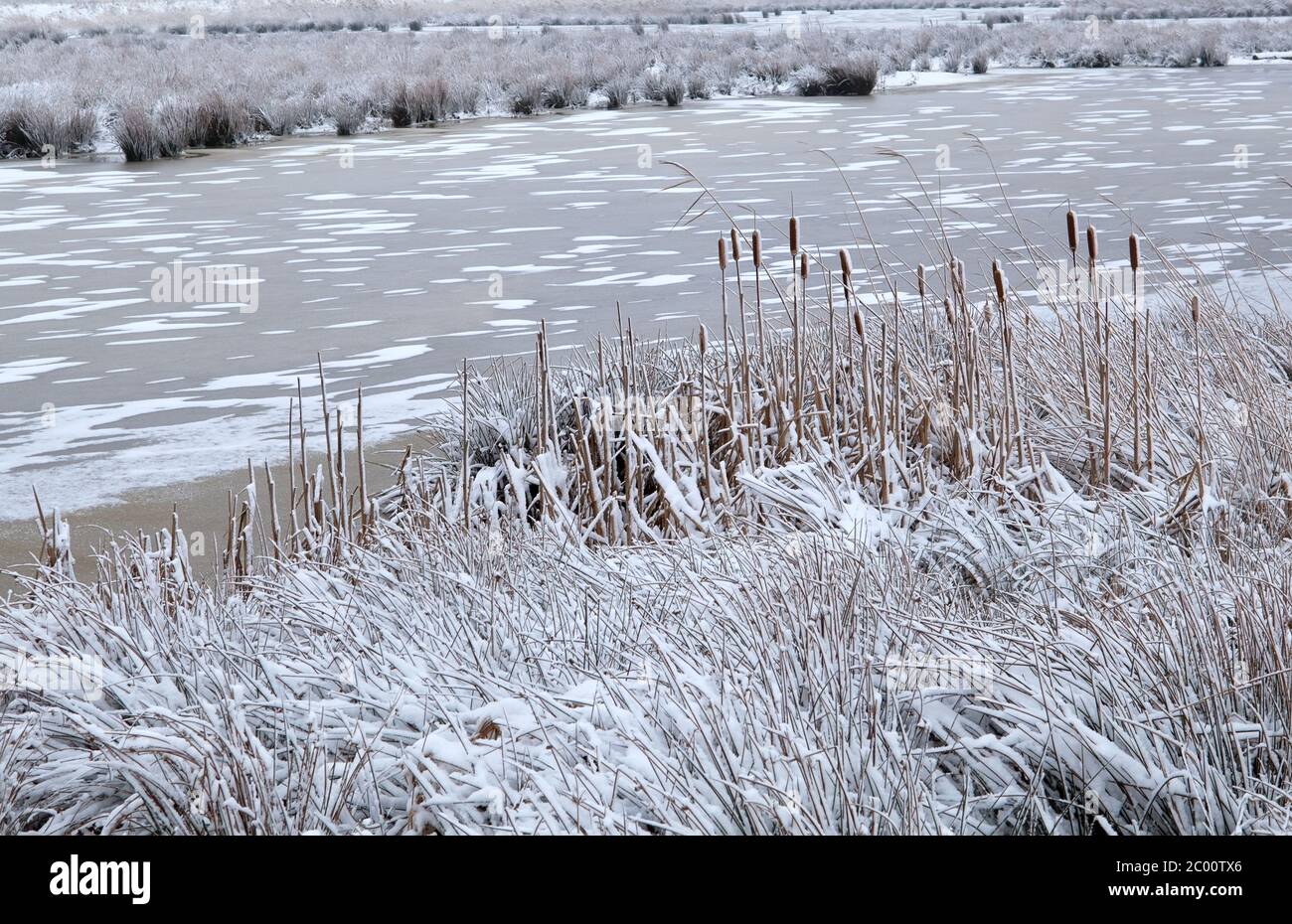 snow on frozen river Stock Photo - Alamy