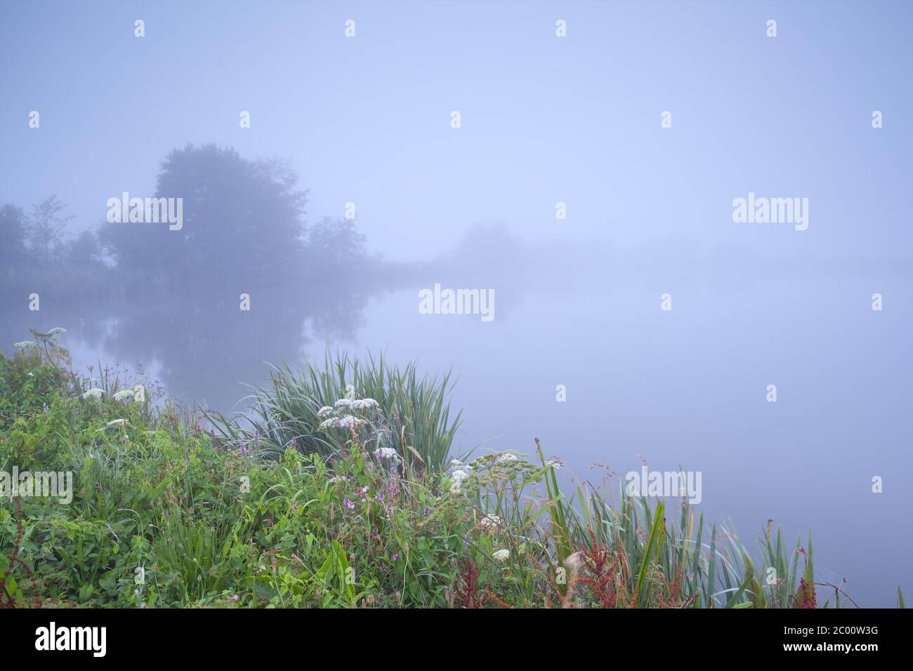 Fog landscape over flower hi-res stock photography and images - Alamy