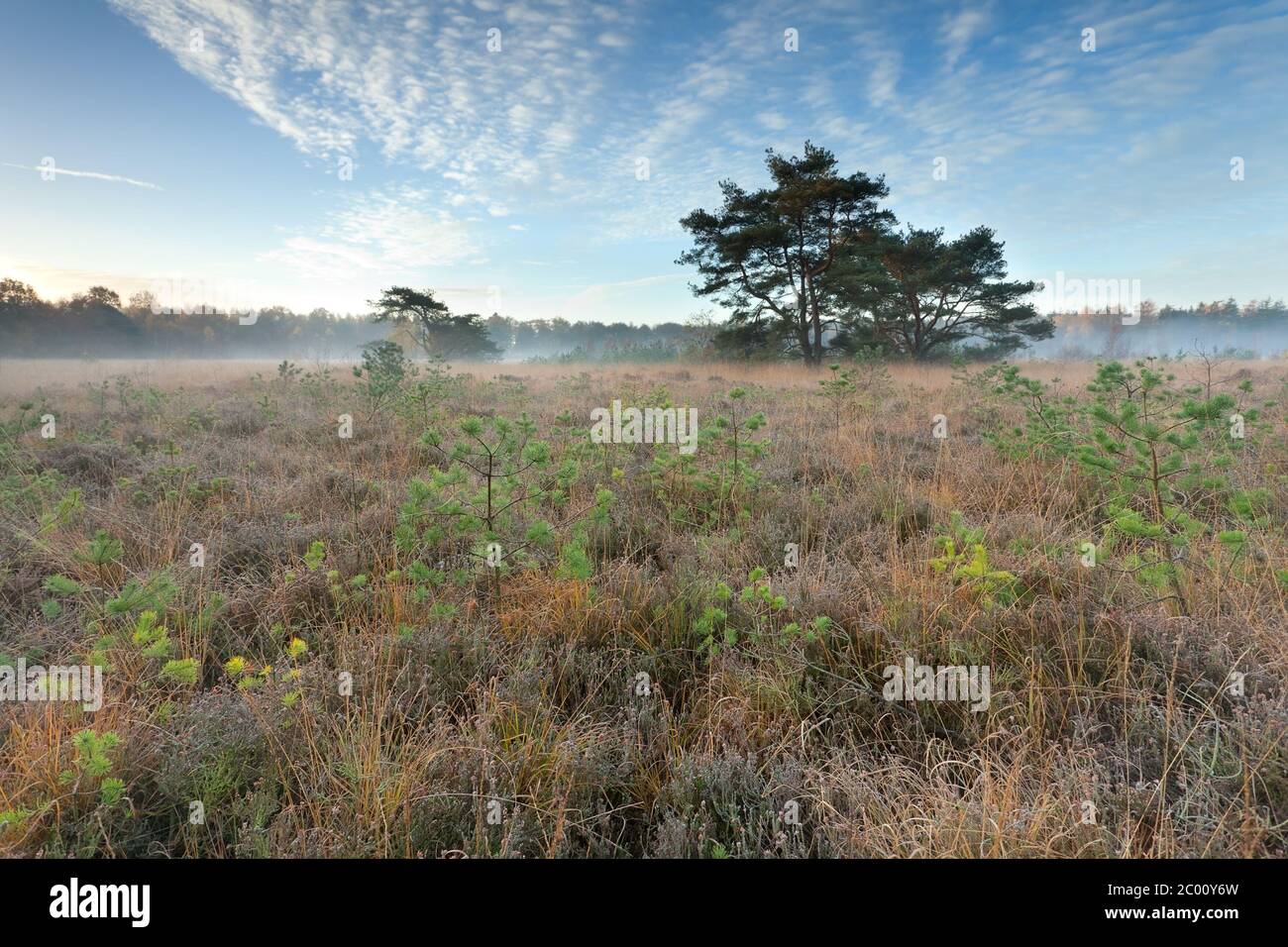 Sunrise over marsh hi-res stock photography and images - Alamy