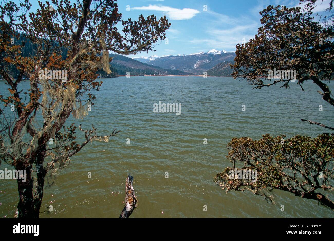 SHUDU LAKE, SHANGRI-LA NATIONAL PARK, ZHONGDIAN, YUNNAN, CHINA Stock ...