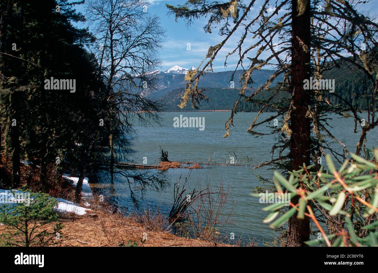 SHUDU LAKE, SHANGRI-LA NATIONAL PARK, ZHONGDIAN, YUNNAN, CHINA Stock ...