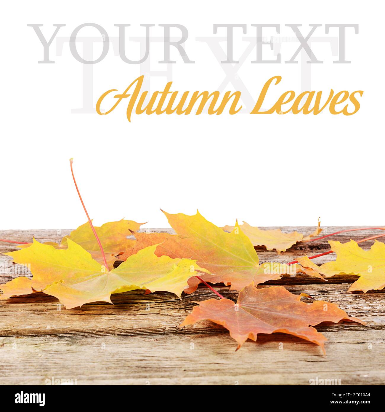 Autumn leaves on wooden floor Stock Photo - Alamy