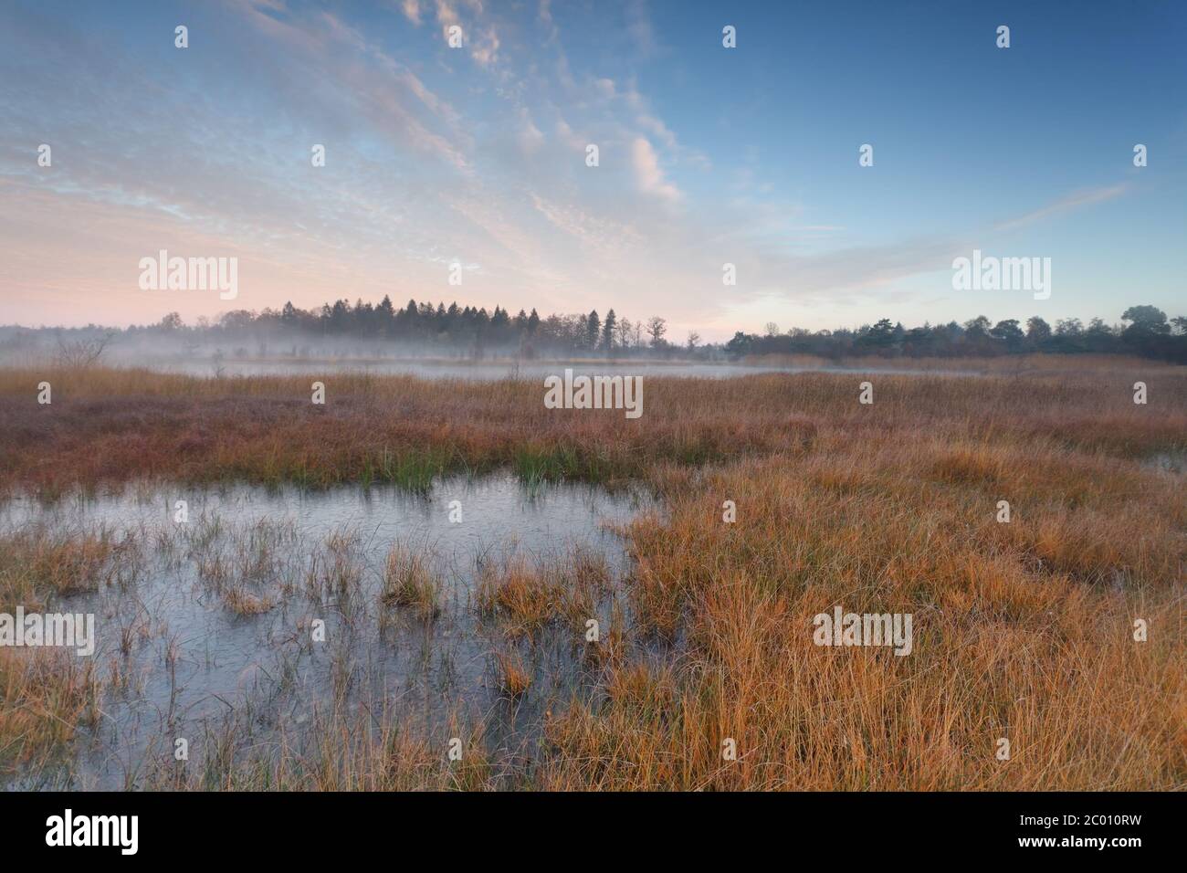 Autumn swamp hi-res stock photography and images - Alamy