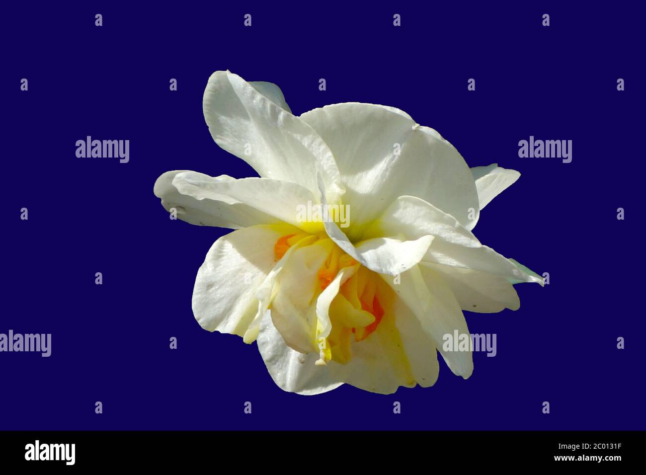 Spring sensations hi-res stock photography and images - Alamy