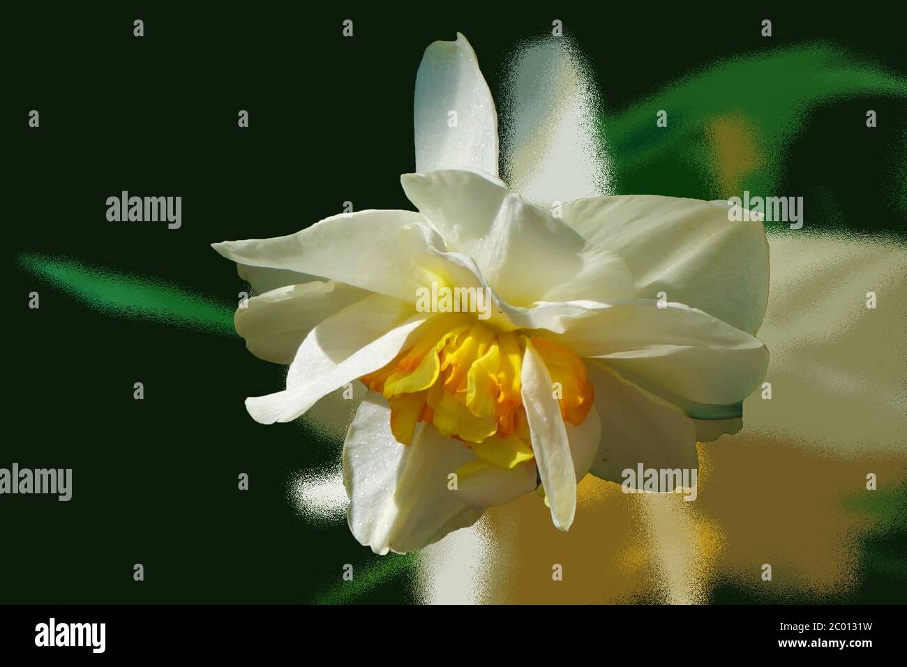 Spring sensations hi-res stock photography and images - Alamy