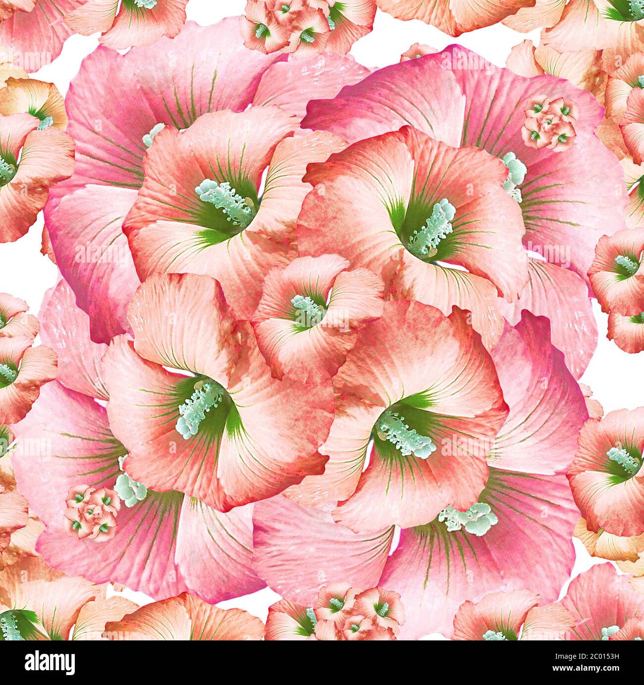 Decorative Floral Pattern Stock Photo - Alamy