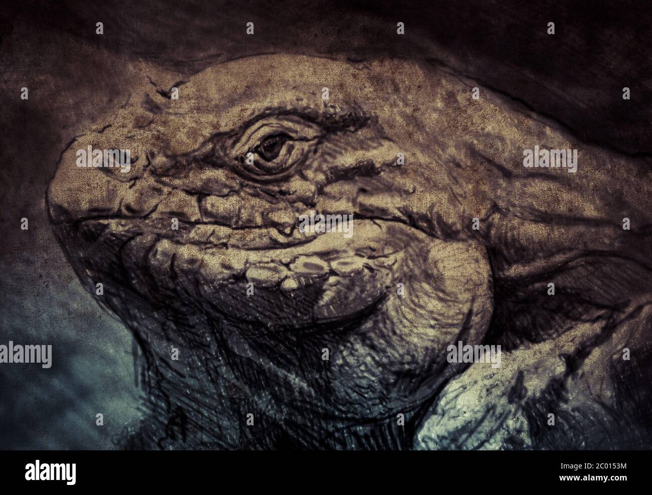 Illustration made with digital tablet, lizard in sepia on vintage paper ...