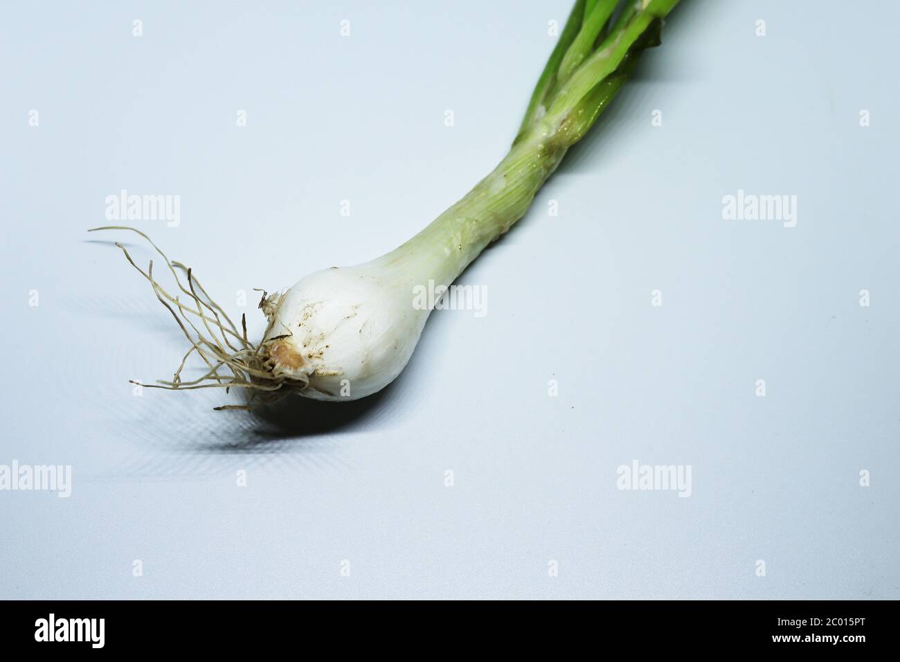 Fresh Green Spring Onion With Roots On An Isolated White Background ...
