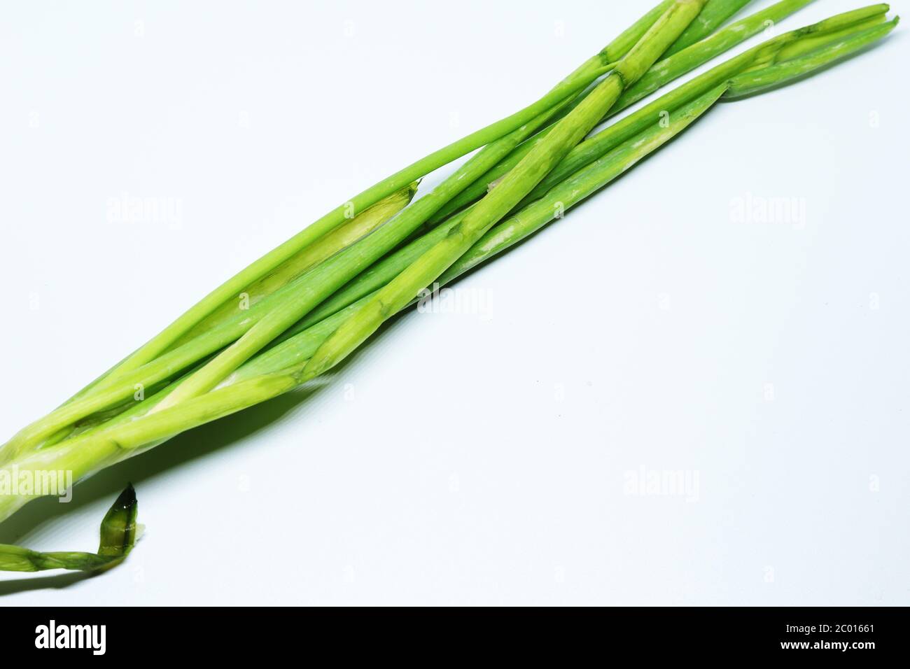 Fresh Green Spring Onion With Roots On An Isolated White Background ...