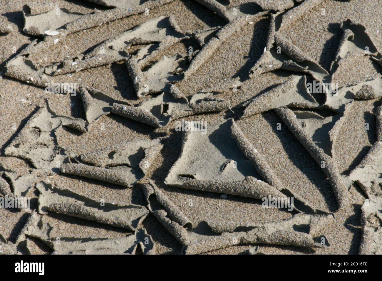 Texture of the dry and dehydrated surface of the earth with cracks ...