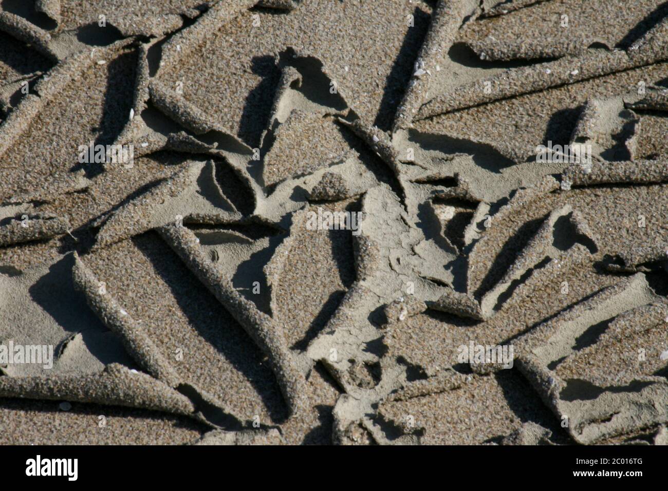 Texture of the dry and dehydrated surface of the earth with cracks ...