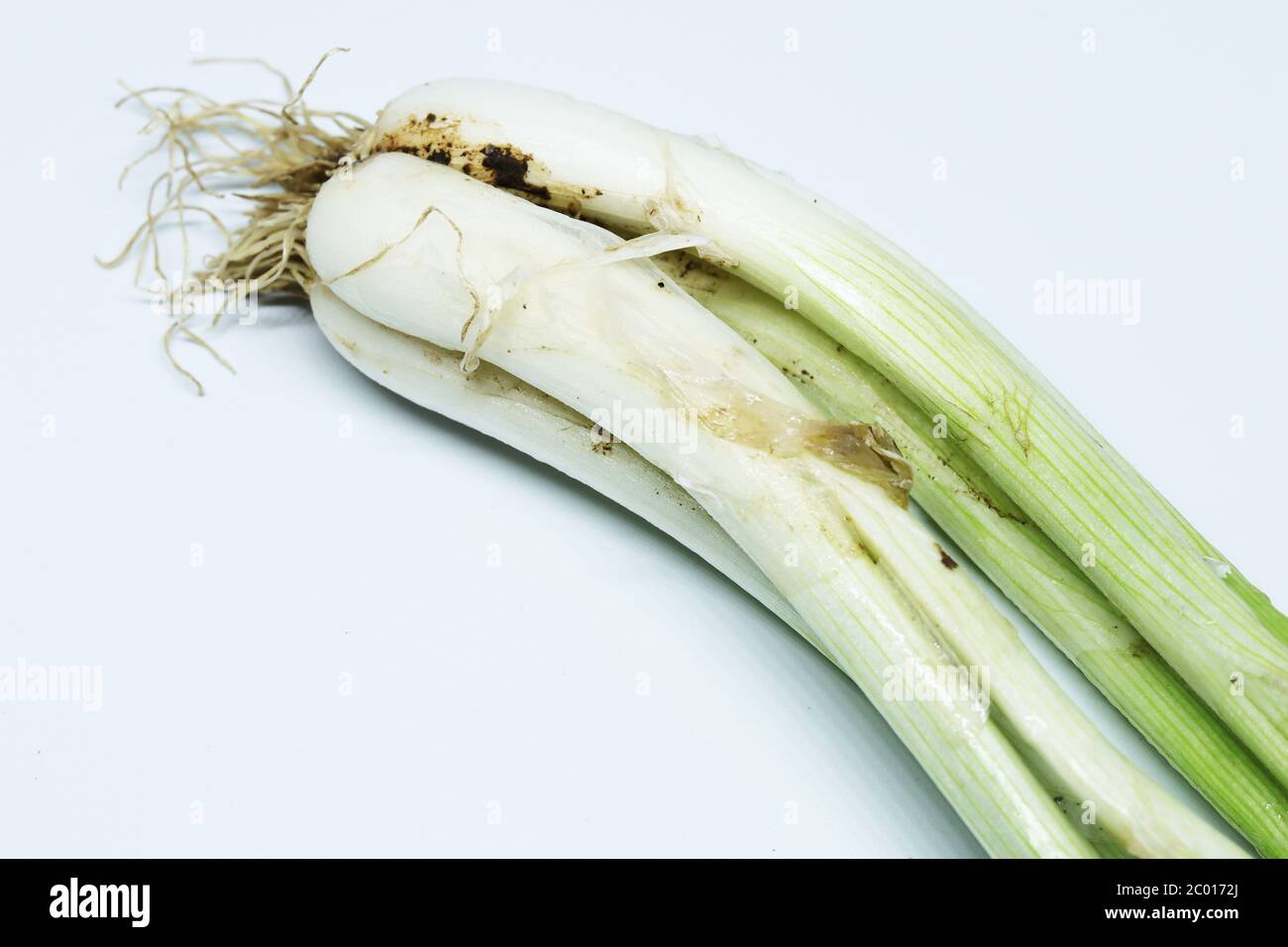 Fresh Green Spring Onion With Roots On An Isolated White Background ...