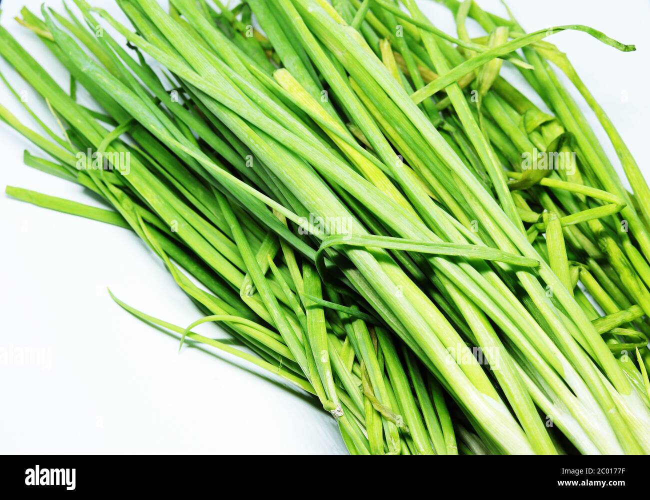 Fresh Green Spring Onion With Roots On An Isolated White Background ...