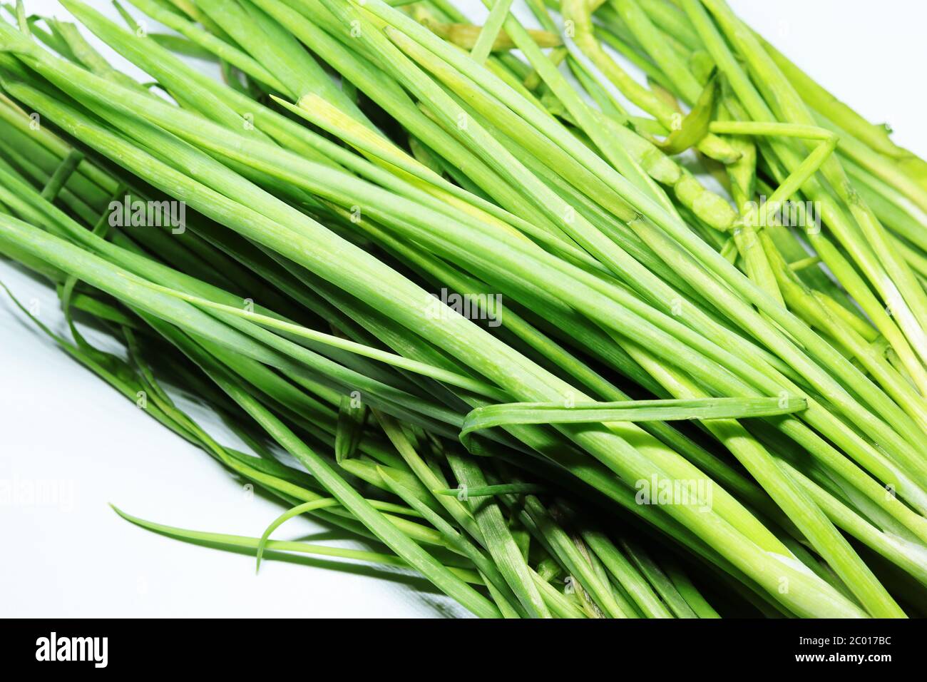 Fresh Green Spring Onion With Roots On An Isolated White Background ...