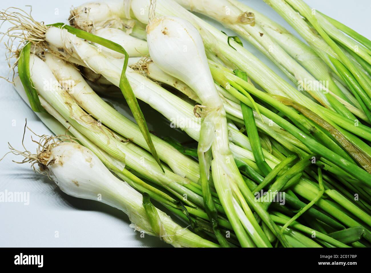 Fresh Green Spring Onion With Roots On An Isolated White Background ...