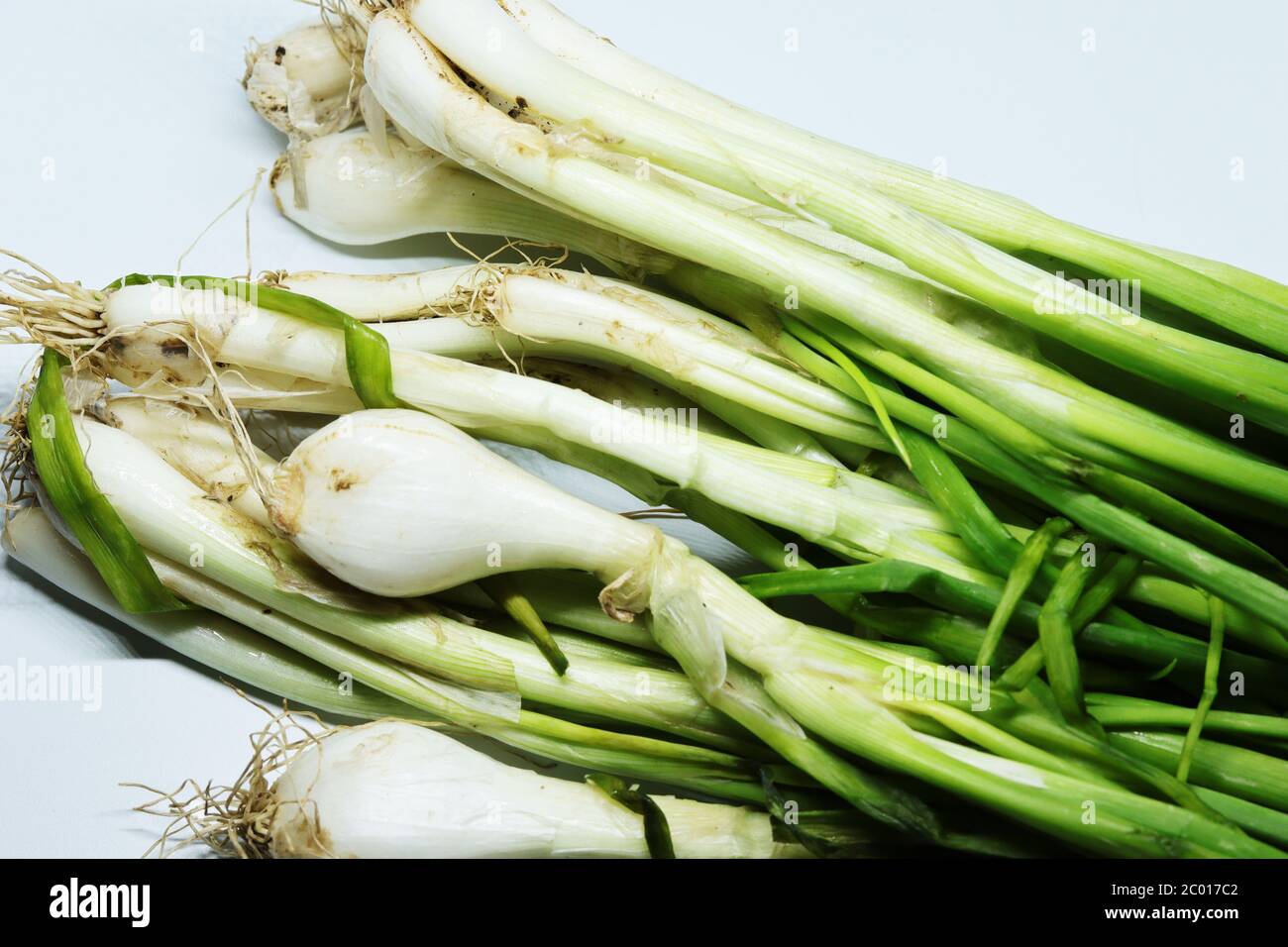 Fresh Green Spring Onion With Roots On An Isolated White Background ...