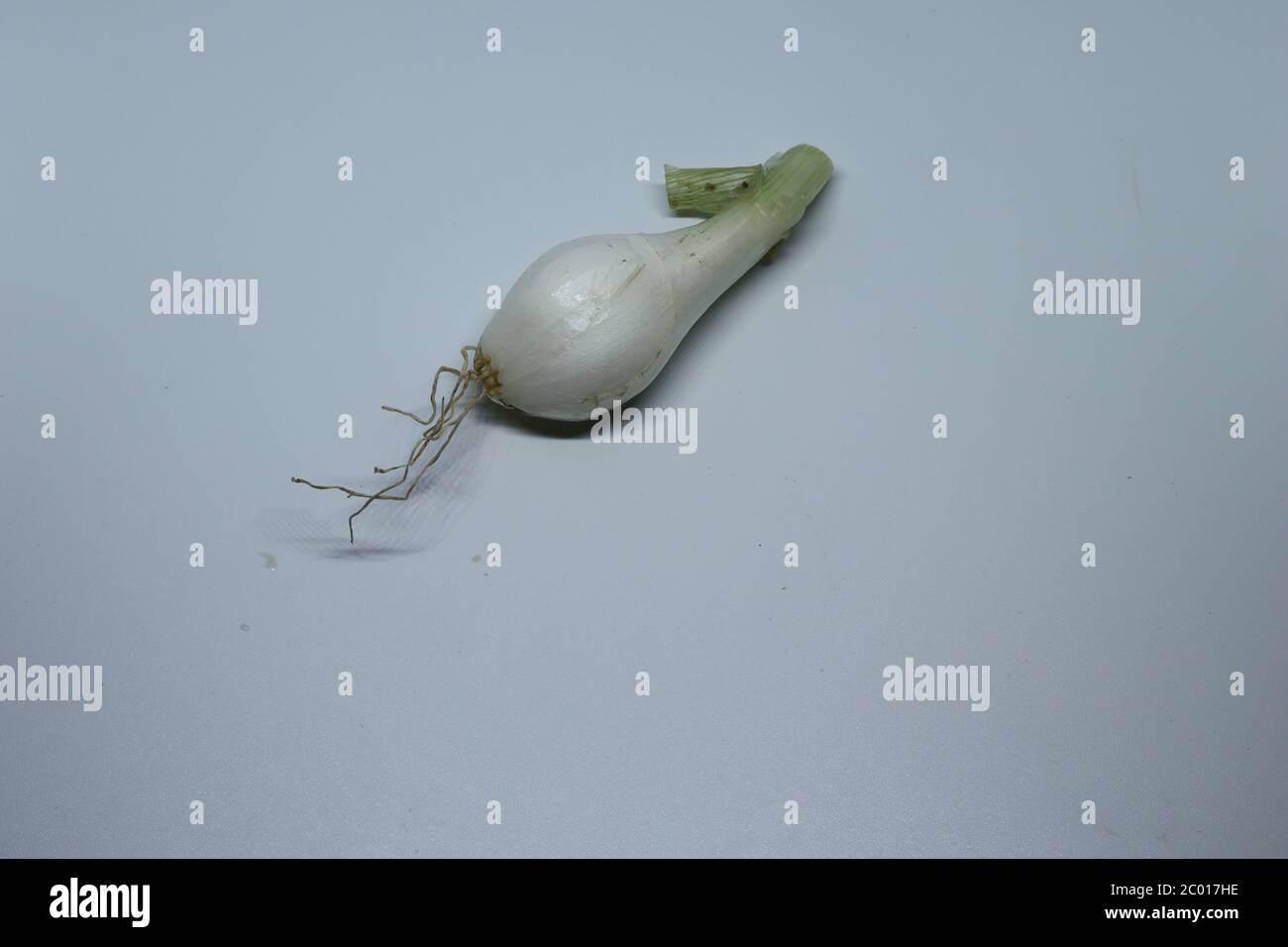 Fresh Green Spring Onion With Roots On An Isolated White Background ...