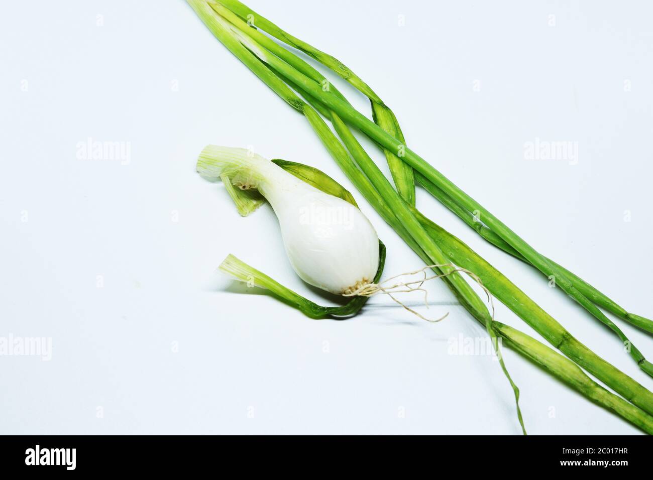 Fresh Green Spring Onion With Roots On An Isolated White Background ...