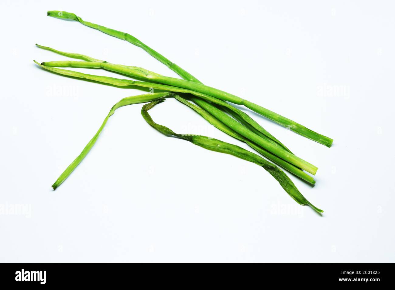Fresh Green Spring Onion With Roots On An Isolated White Background ...