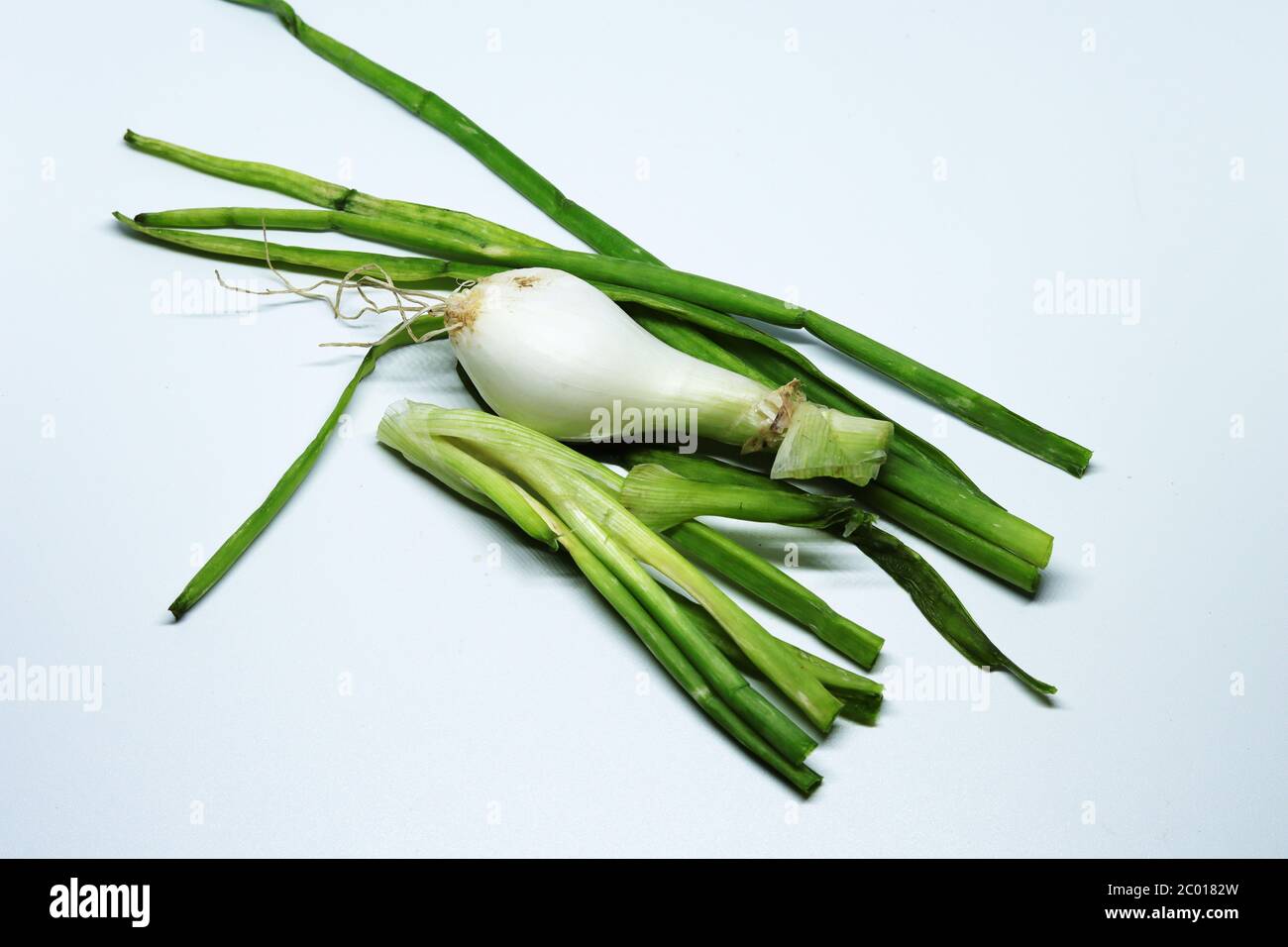 Fresh Green Spring Onion With Roots On An Isolated White Background ...