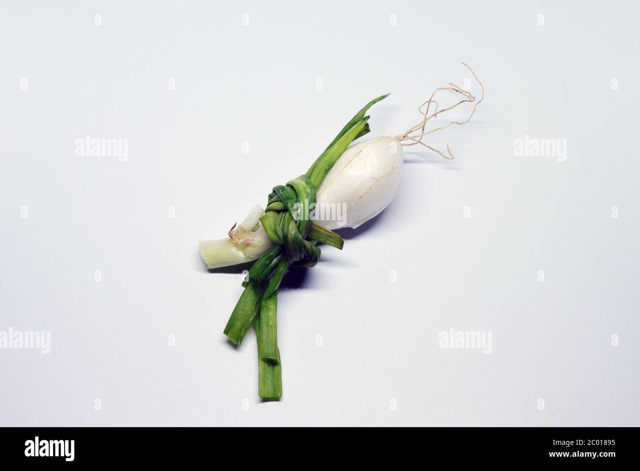 Fresh Green Spring Onion With Roots On An Isolated White Background ...