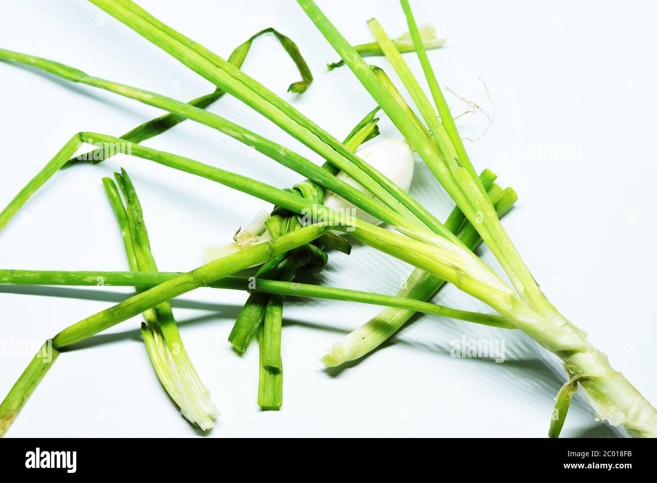 Fresh Green Spring Onion With Roots On An Isolated White Background ...