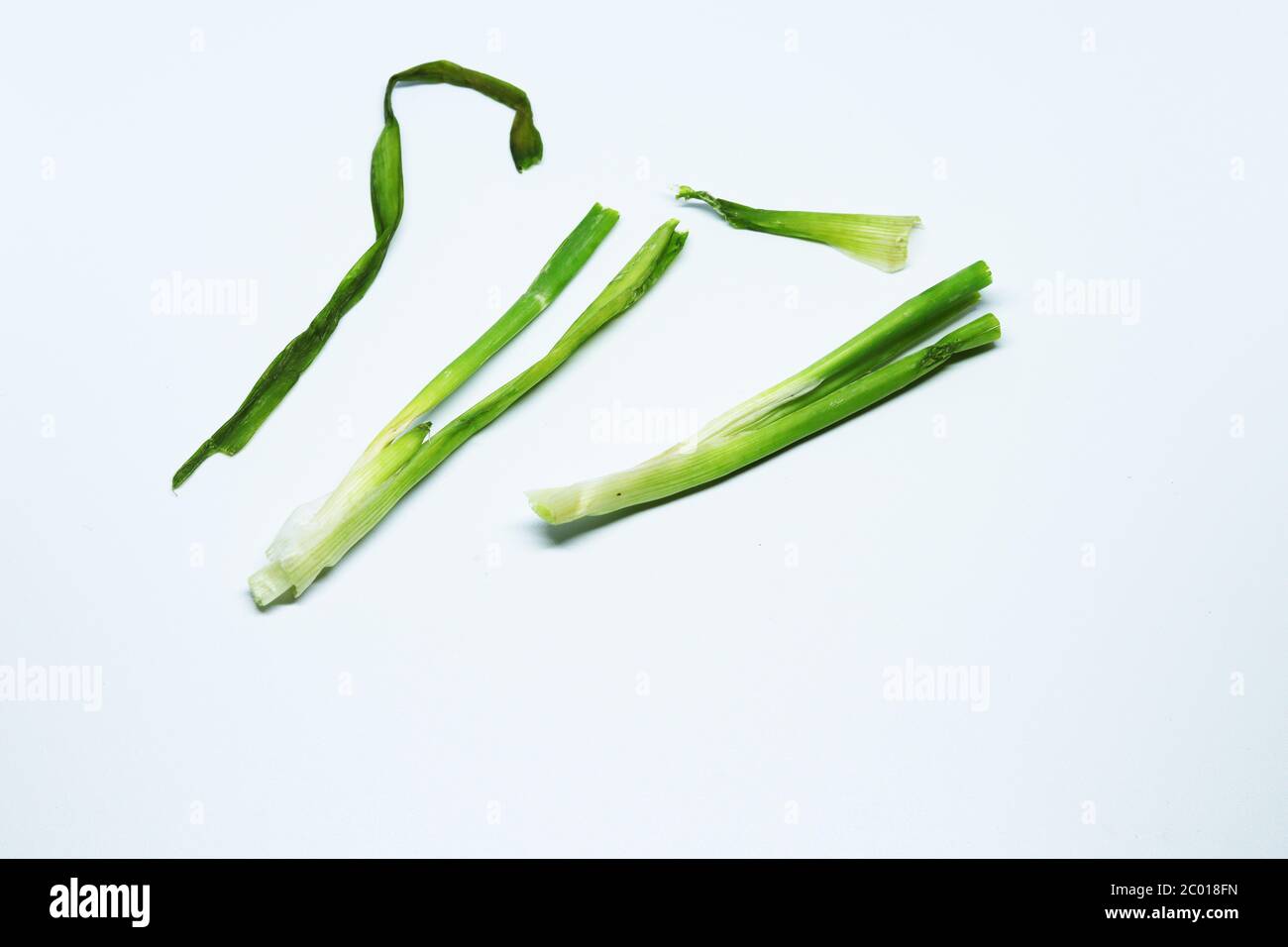 Fresh Green Spring Onion With Roots On An Isolated White Background ...