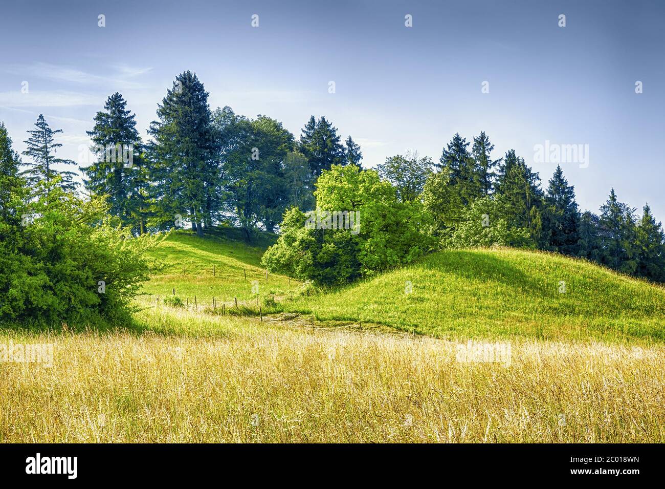 Meadow with hills hi-res stock photography and images - Alamy