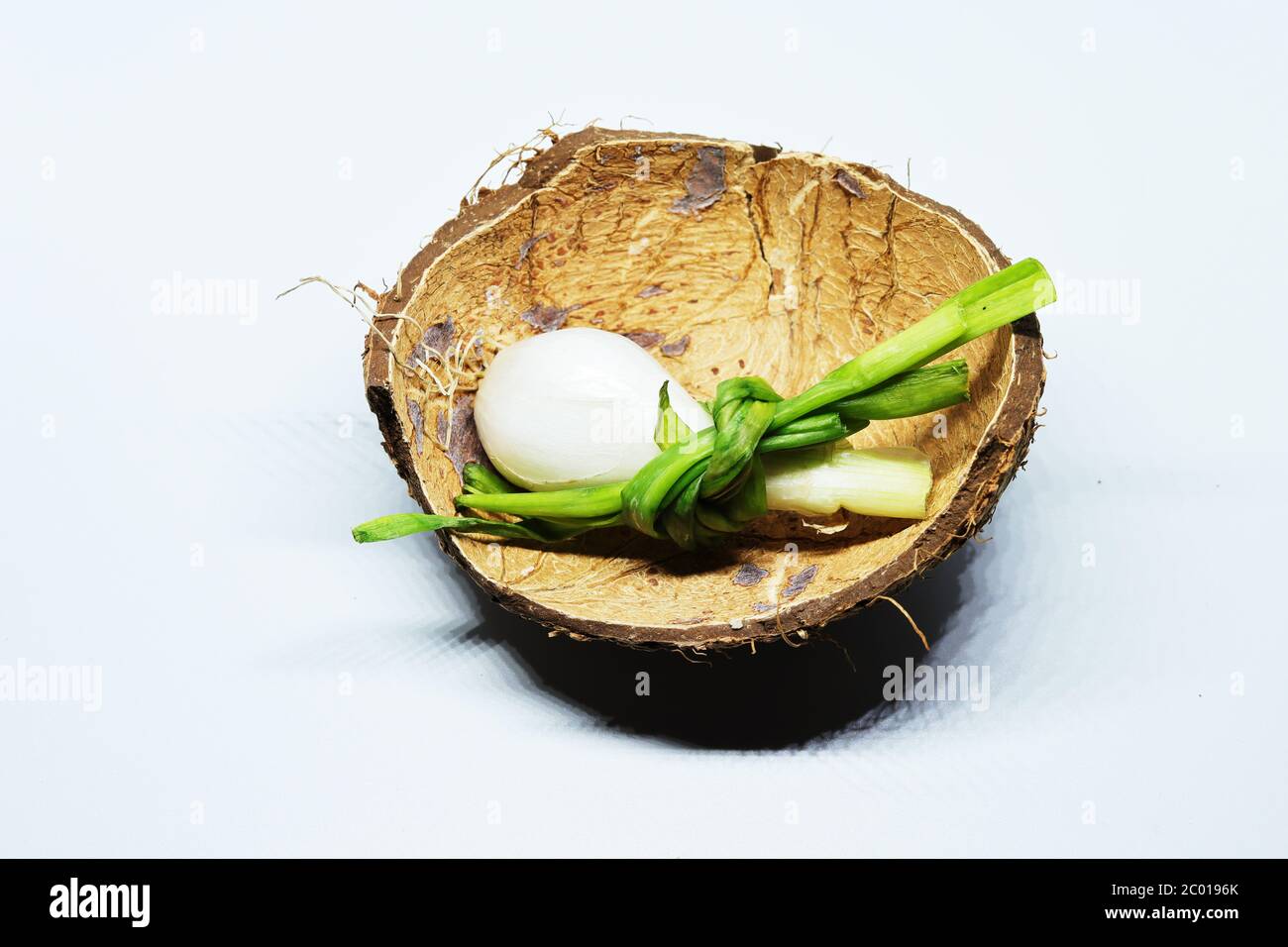 Fresh Green Spring Onion With Roots On An Isolated White Background ...