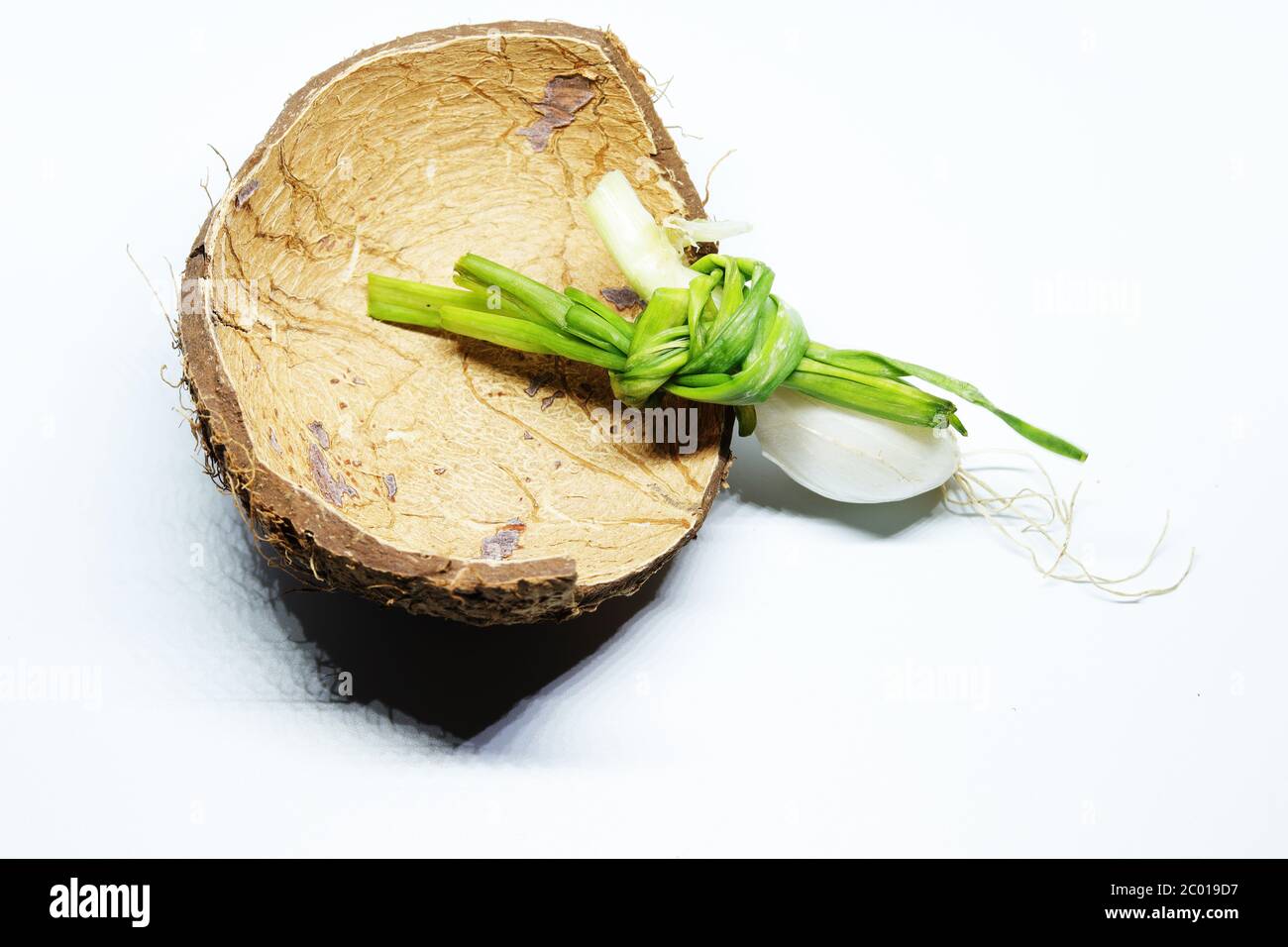 Fresh Green Spring Onion With Roots On An Isolated White Background ...