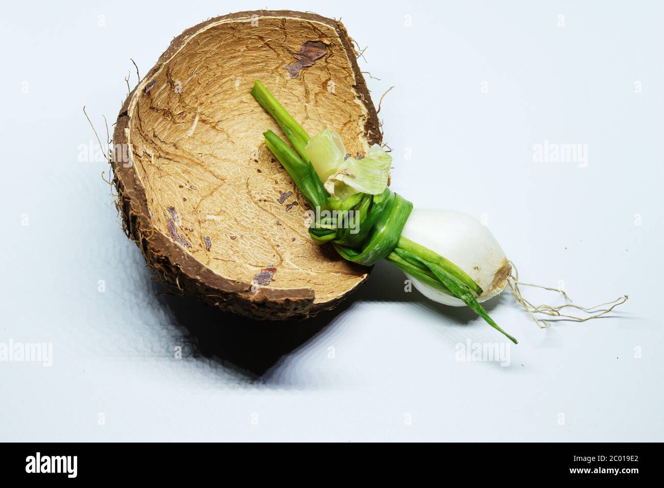 Fresh Green Spring Onion With Roots On An Isolated White Background ...
