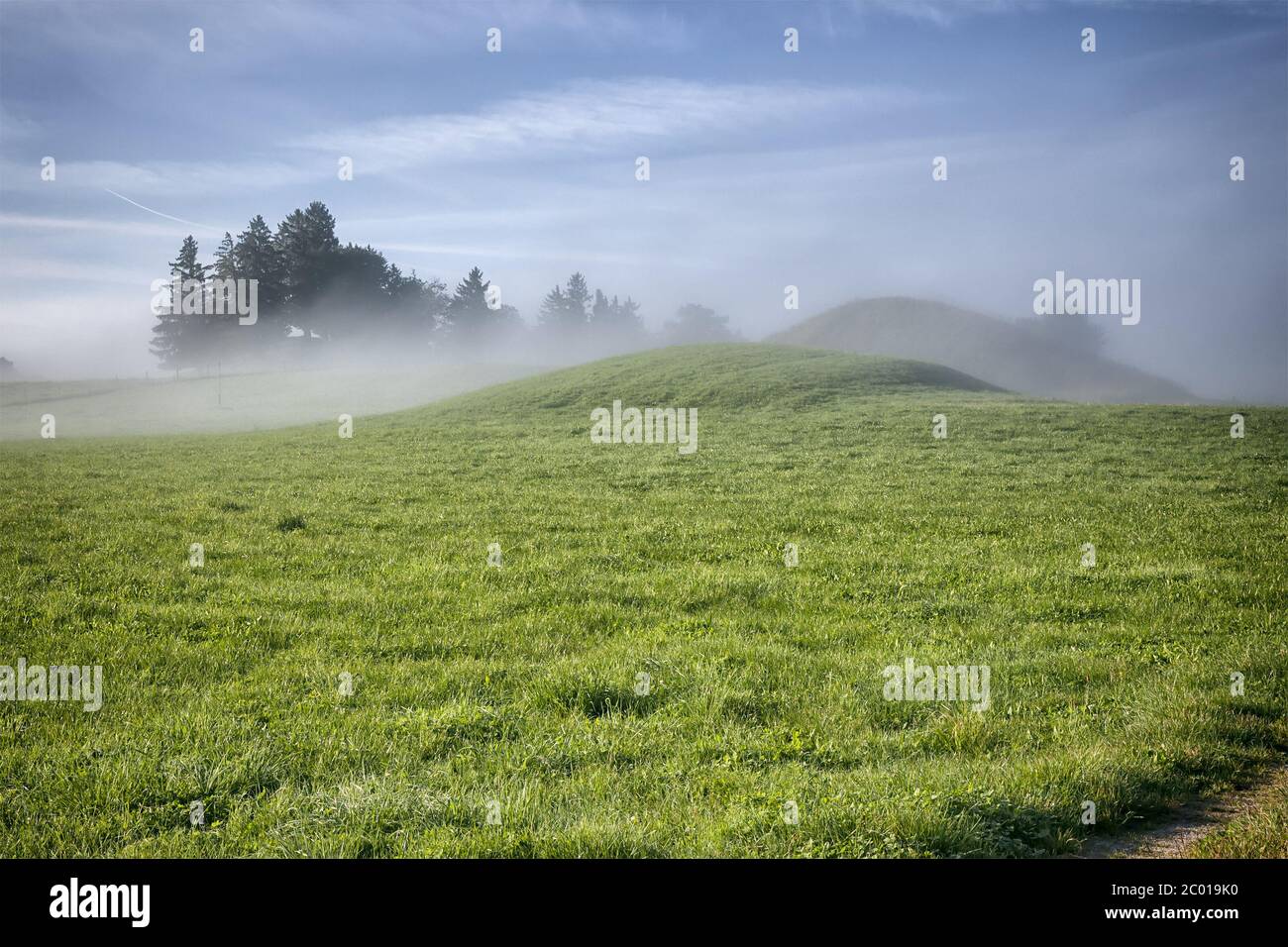 Mist field hi-res stock photography and images - Alamy