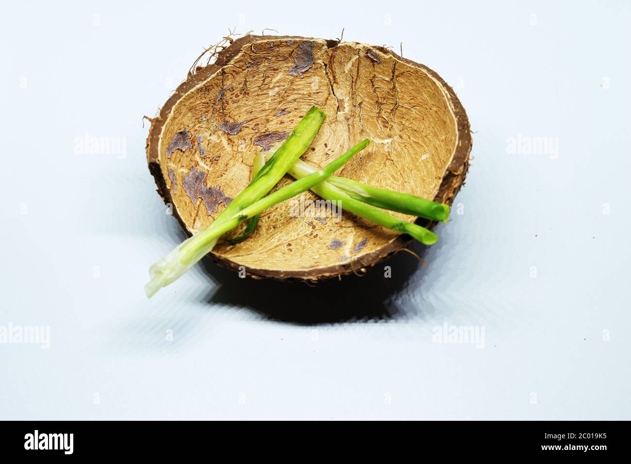 Fresh Green Spring Onion With Roots On An Isolated White Background ...