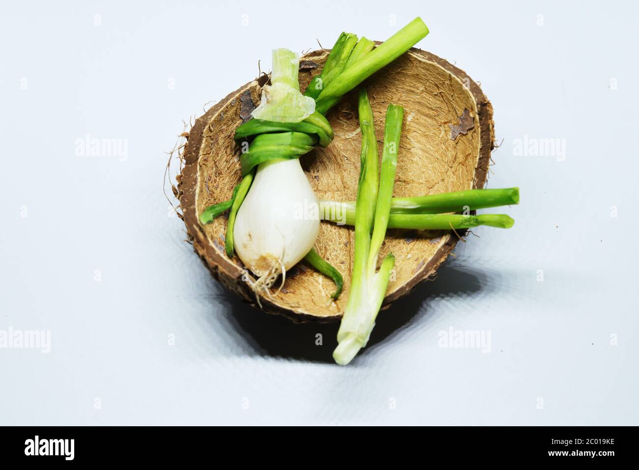 Fresh Green Spring Onion With Roots On An Isolated White Background ...