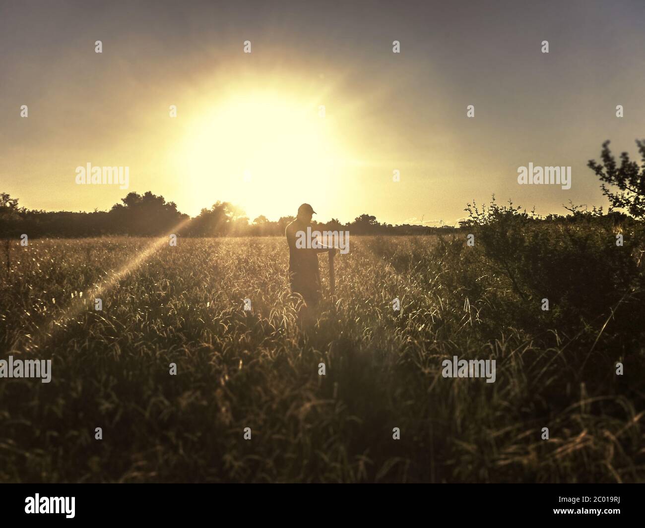 Man in the Field at Sunset Stock Photo - Alamy