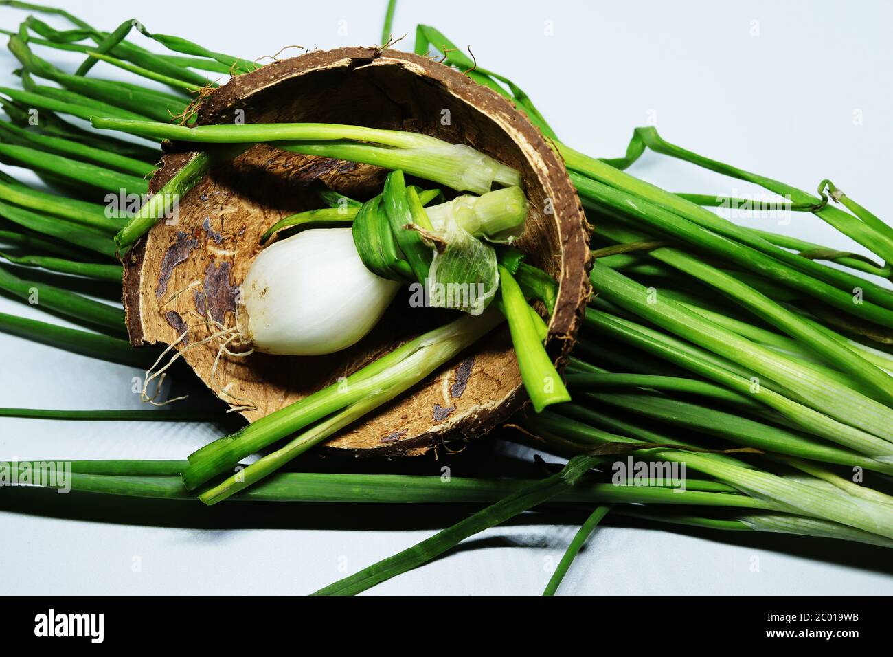 Fresh Green Spring Onion With Roots On An Isolated White Background ...
