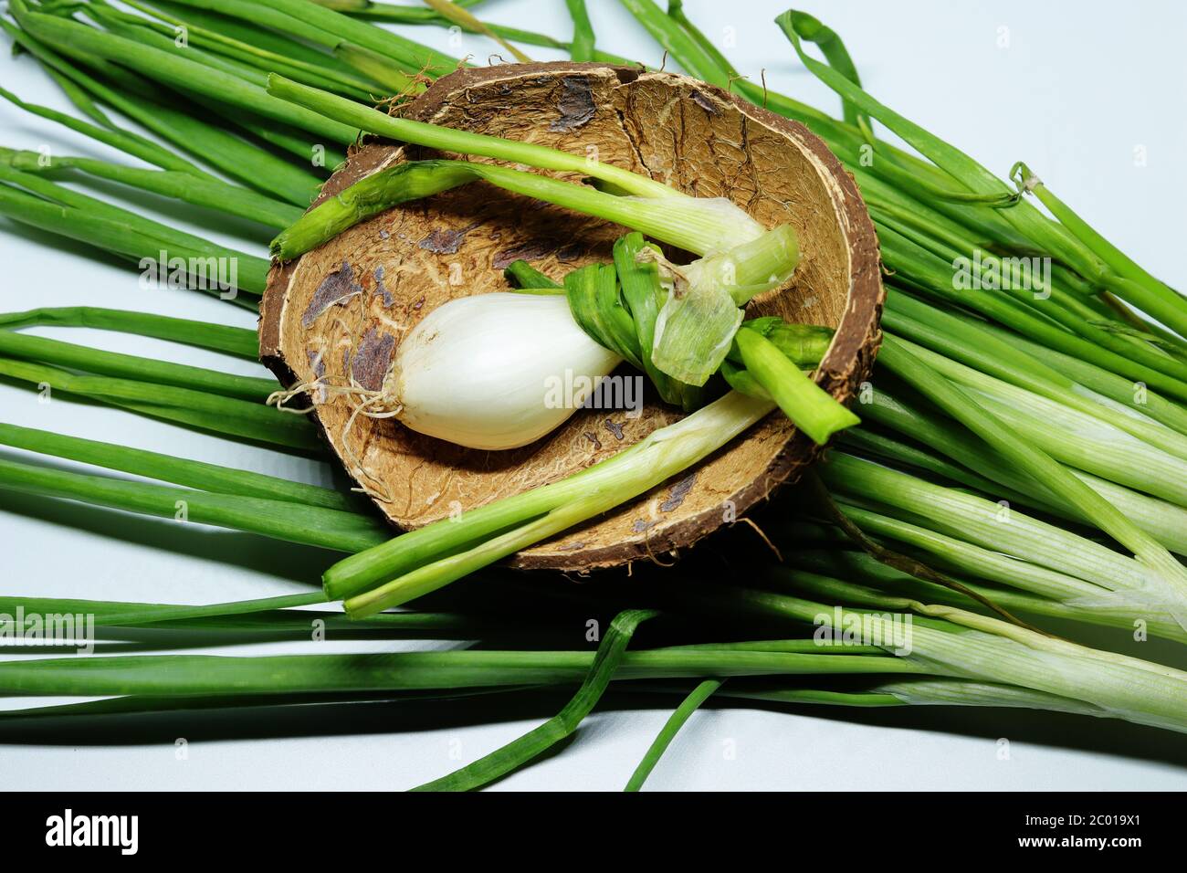 Fresh Green Spring Onion With Roots On An Isolated White Background ...