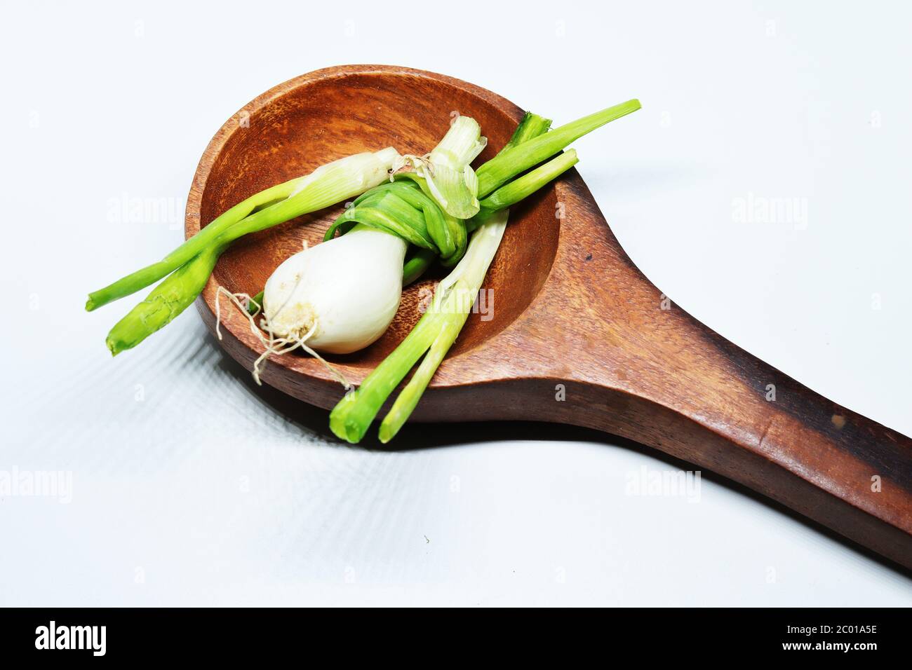 Fresh Green Spring Onion With Roots On An Isolated White Background ...