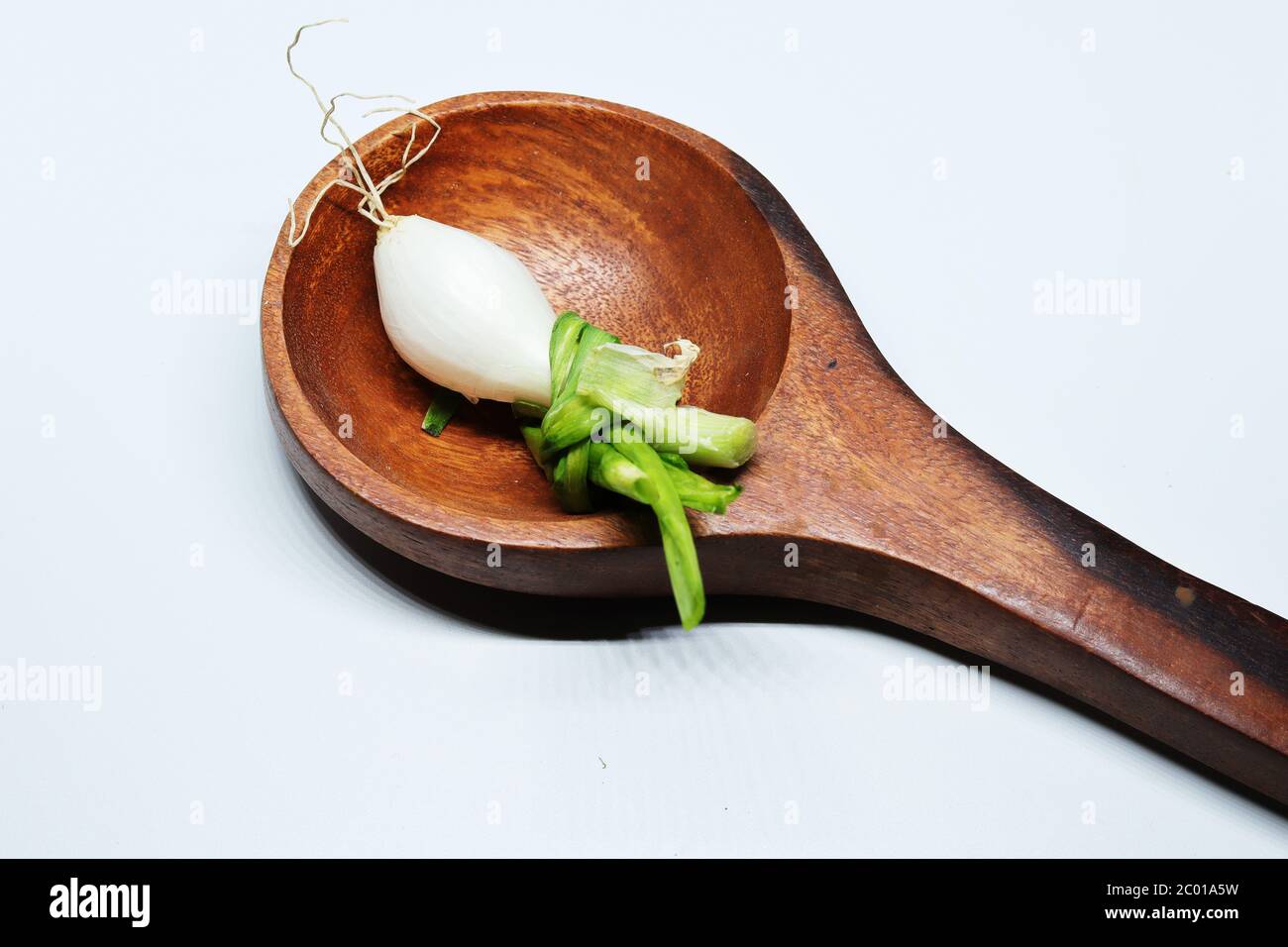 Fresh Green Spring Onion With Roots On An Isolated White Background ...