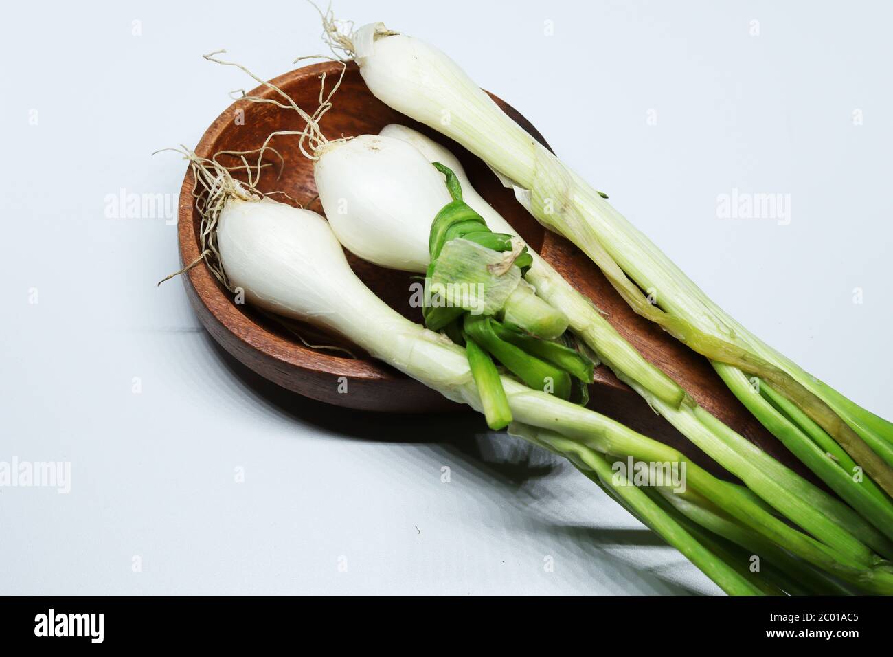Fresh Green Spring Onion With Roots On An Isolated White Background ...