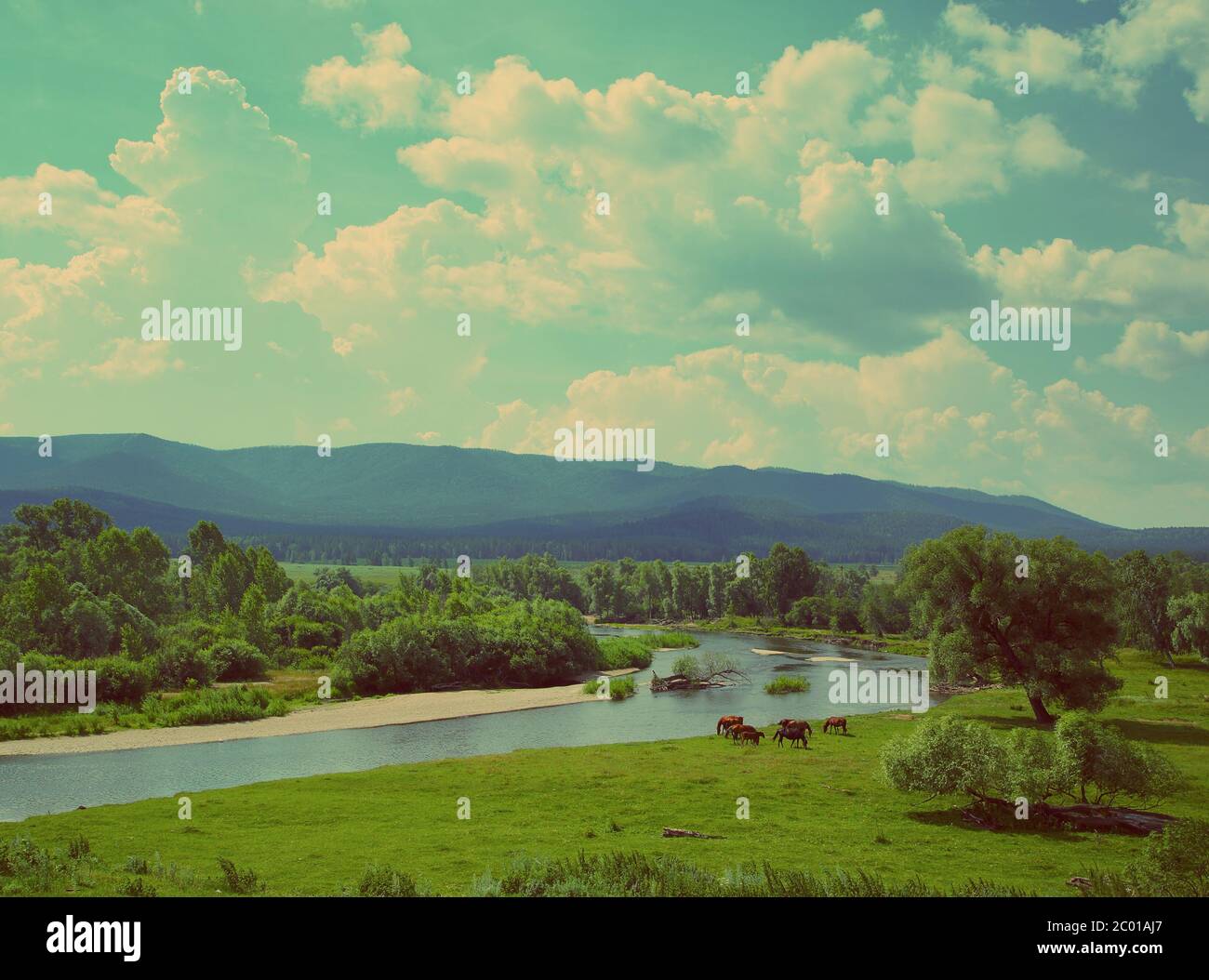 landscape with river mountains and horses - vintage retro style Stock ...