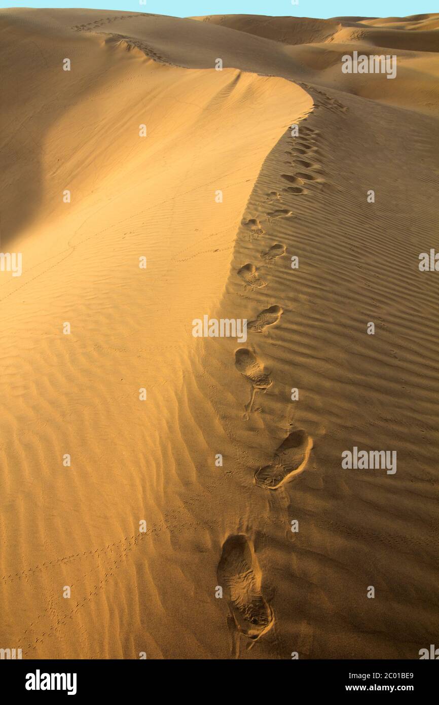 Human footsteps in sand in Desert Stock Photo - Alamy